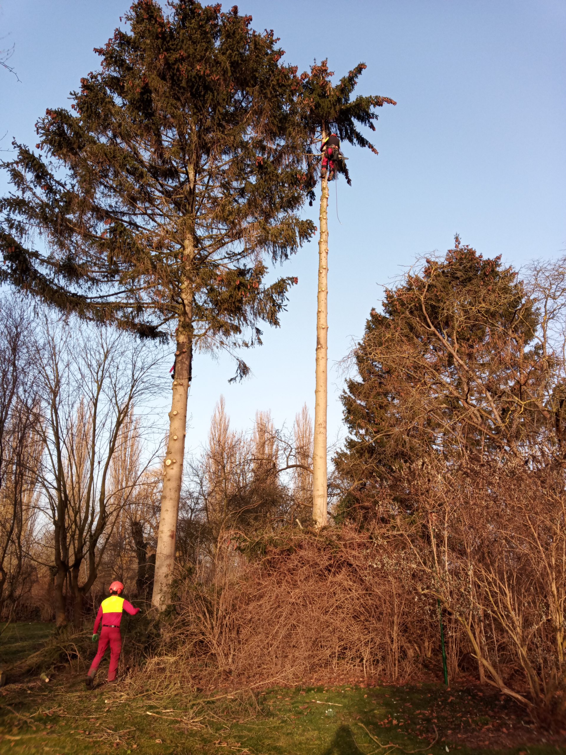 Impressionen - Jagd und Forst